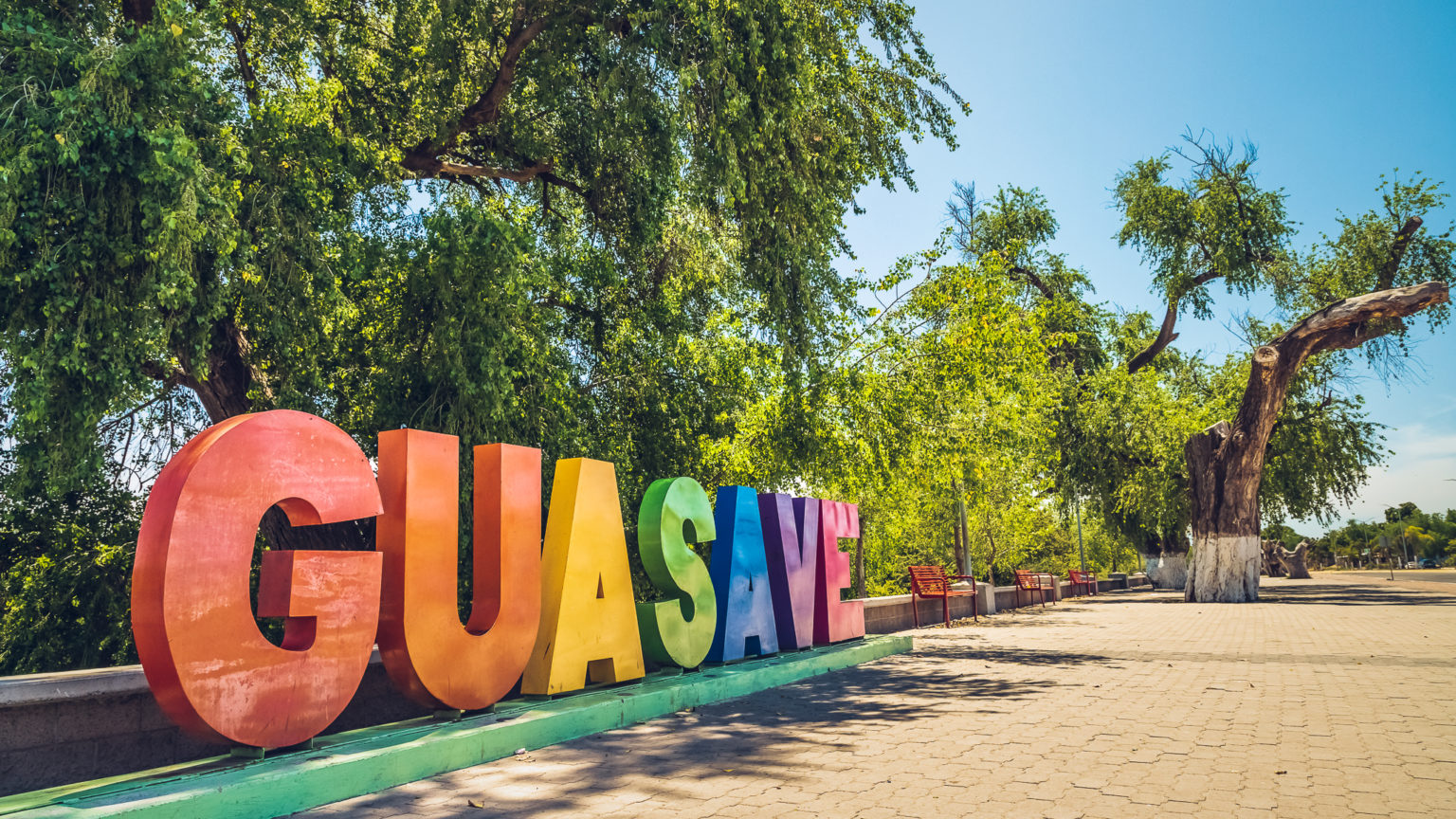 Informacion de Guasave – Guasave